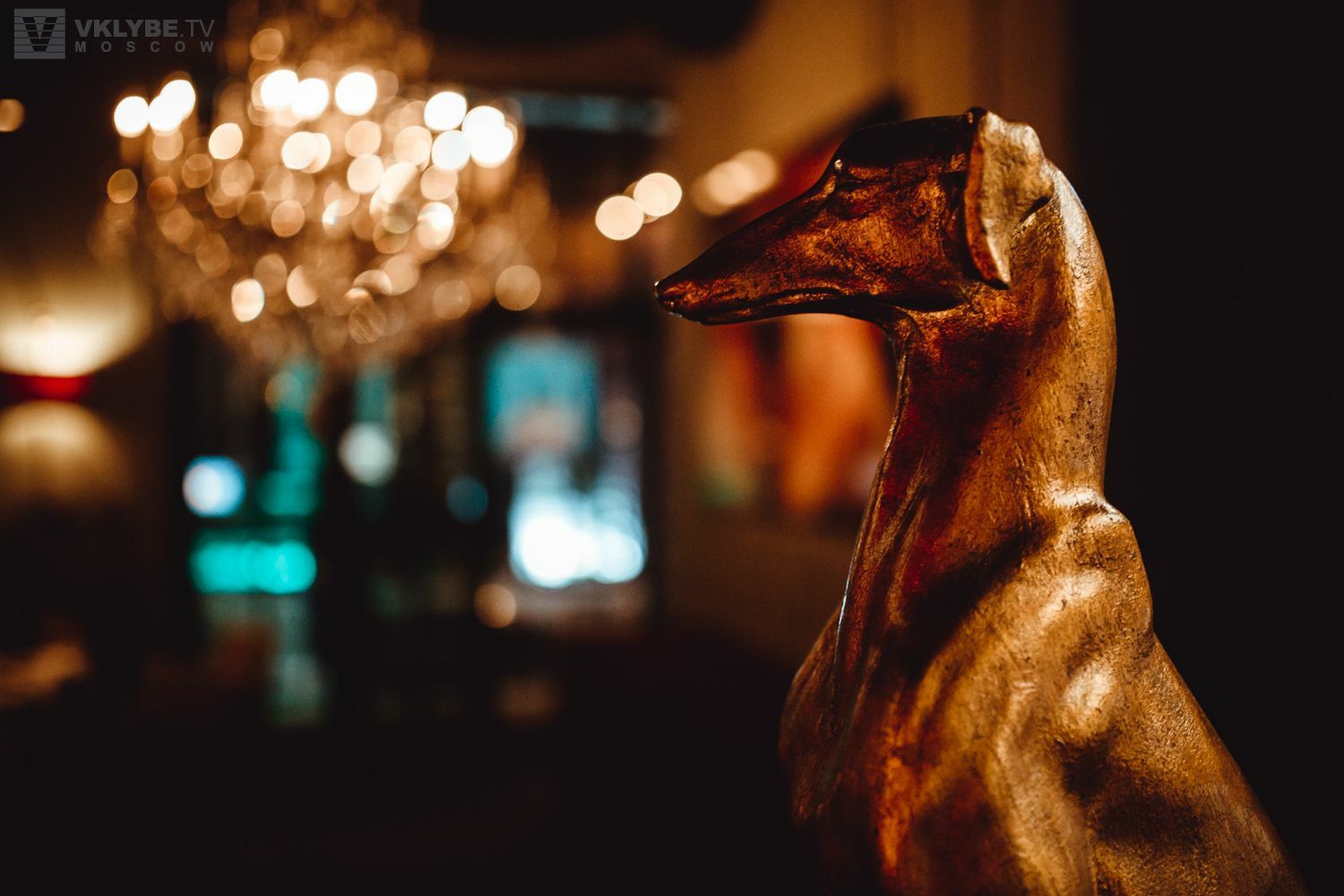 Фотоотчет: ресторан Modus Restaurant (Москва) – «Modus Friends» (фото ...